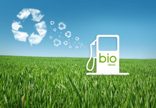 Transforming Waste into Energy: Advances in Biofuel Research