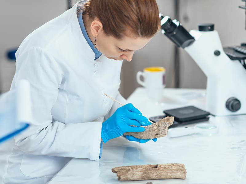 Anthropology LIMS Solutions for Data Management | LabLynx Anthropology LIMS Solutions for Data Management | LabLynx